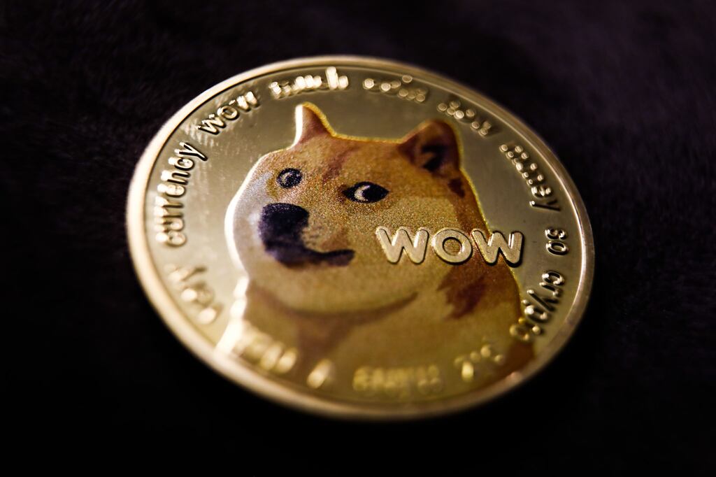 Elon Musk declaró a Dogecoin como la moneda oficial de Marte: la boba ...