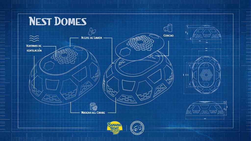 Nest Domes: los nuevos e innovadores domos que pueden proteger el futuro de las tortugas marinas ...
